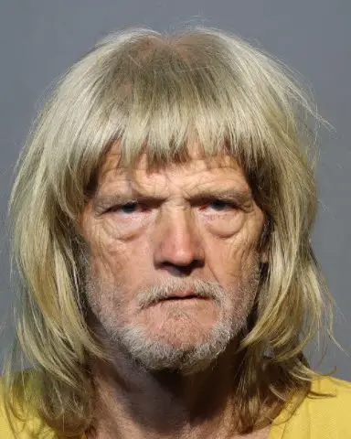 RICHARD BROWN booked 20250307