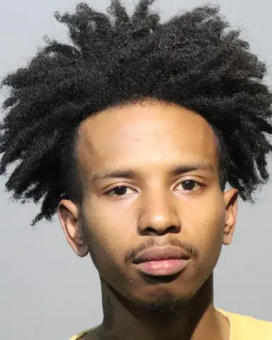 SHAWN GREEN booked 20250302