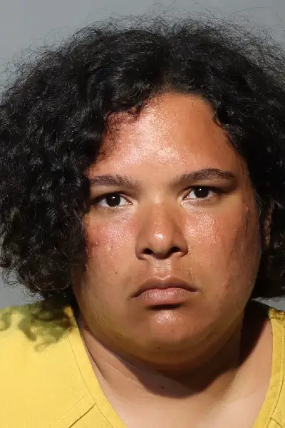 LISA SANTANA TORRES booked 20251027