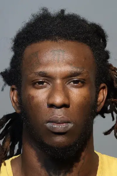 TYRONE HOLLINGER booked 20251229