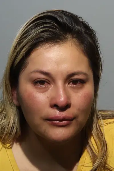 NANCY ALI LOPEZ booked 20260322